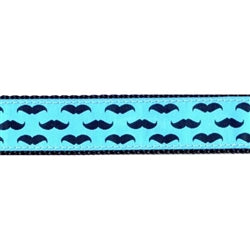Preston Mustaches Harness – Wishbones Pet Boutique & Barkery